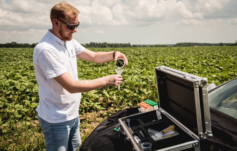 Laboratory Worker Testing Plant Sprouts before Harvest in the Field ...