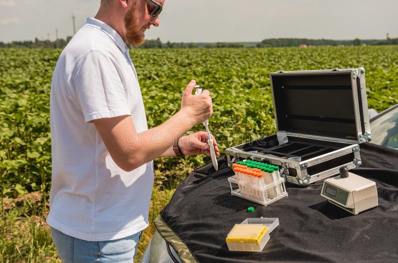 Laboratory Worker Testing Plant Sprouts before Harvest in the Field ...