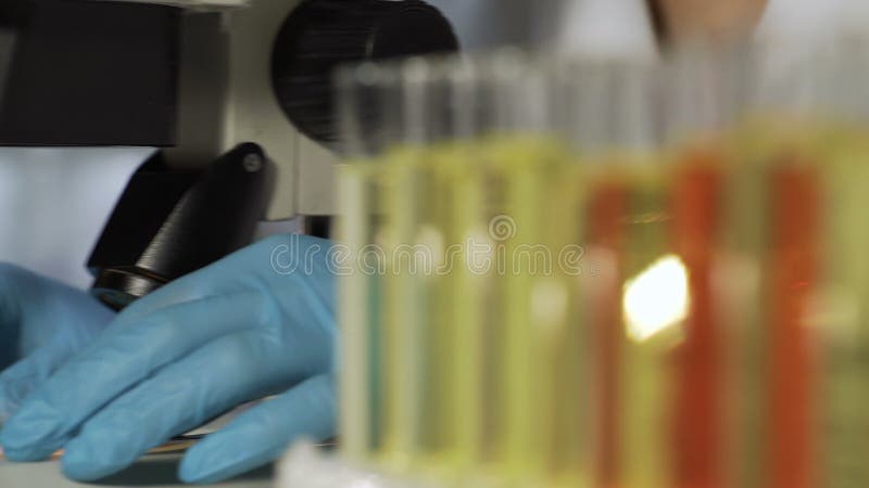Laboratory Worker Viewing Sample Under Microscope, Conducting Research ...