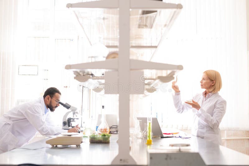 Laboratory Workers Discussing Research Details Stock Image - Image of ...