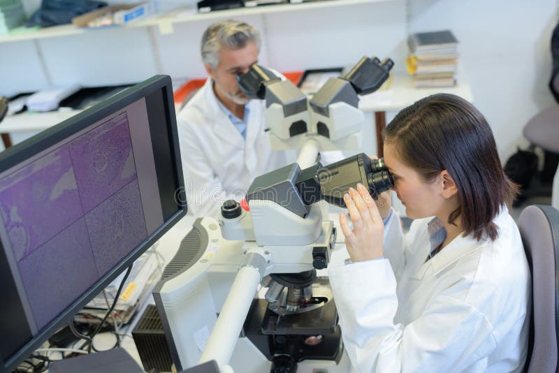 Laboratory Workers Looking into Microscope Stock Photo - Image of human ...