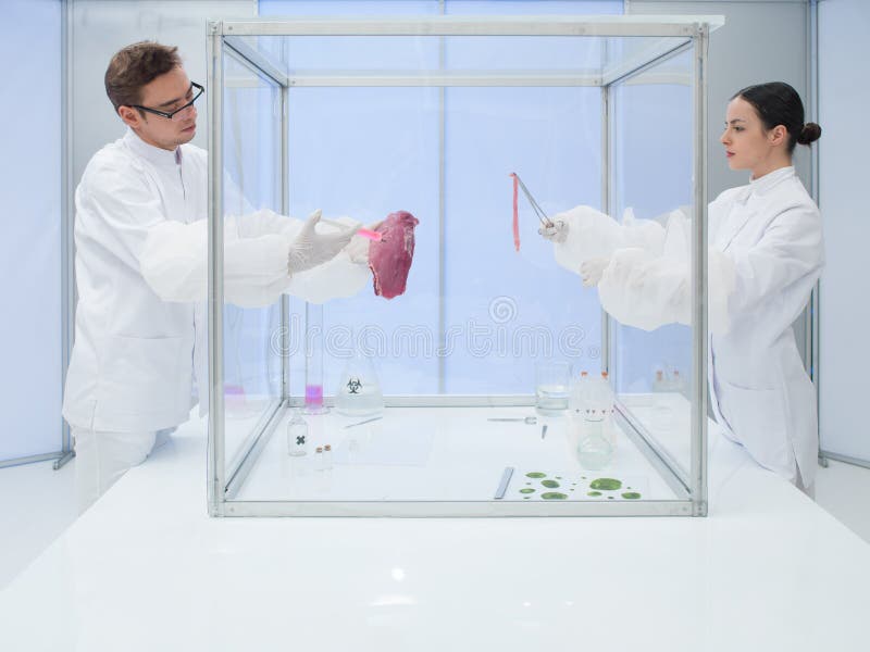Sterility Testing Bacteria Stock Photos - Free & Royalty-Free Stock ...