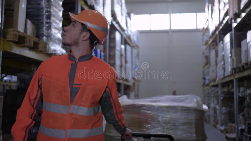 Laborer in Uniform Pulling Trolley with Boxes between Rows of Racks on ...