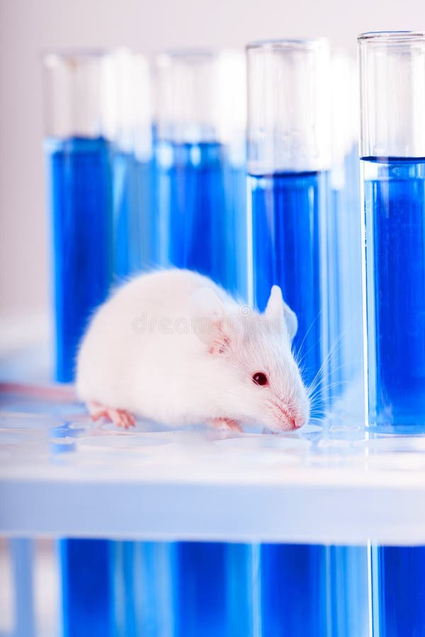 Labor stockfoto. Bild von forschung, wissenschaftlich - 114572908