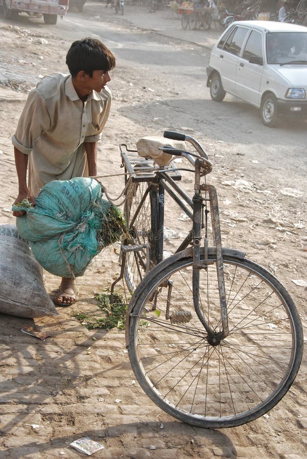 Hardworkers Stock Photos - Free & Royalty-Free Stock Photos from Dreamstime