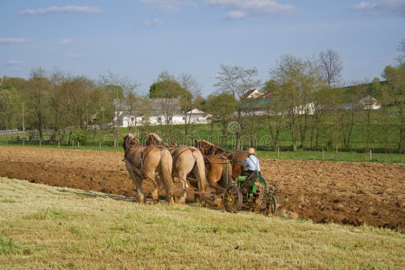 Labourage avec des chevaux photo stock. Image du nature - 5065336