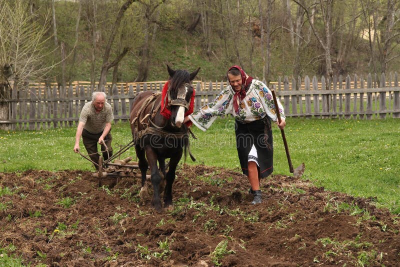Labourage Photos Stock - Téléchargez 29,271 Photos libres de droits