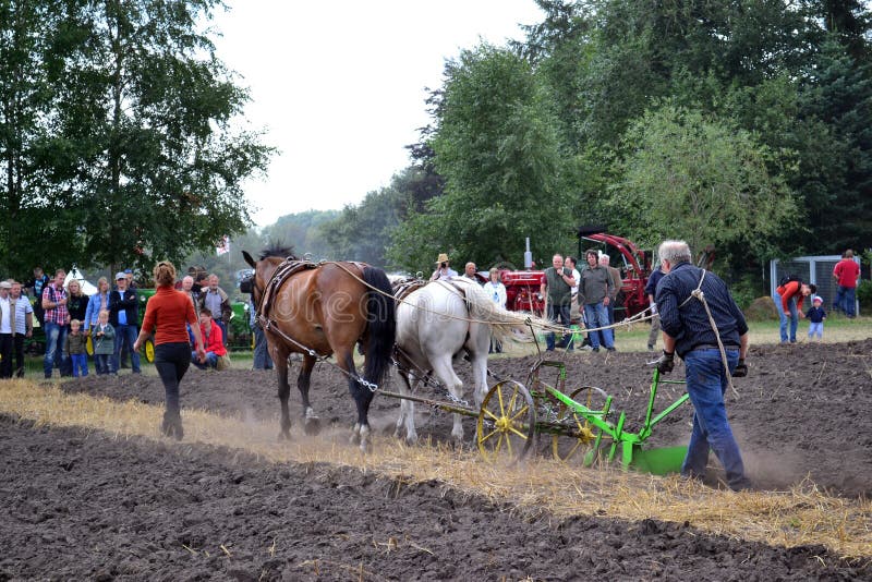 Labourage avec des chevaux image éditorial. Image du collègues - 27563110