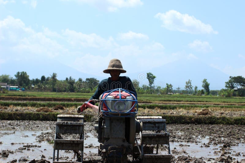 Tracteurs à Labourer Les Champs Photo stock - Image du outdoors ...