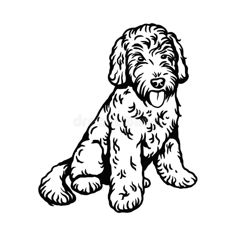 Labradoodle Puppy Stock Illustrations – 73 Labradoodle Puppy Stock ...