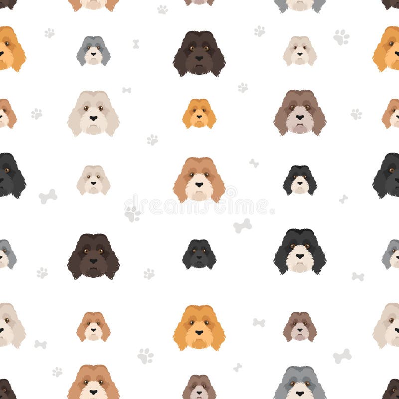 Labradoodle Seamless Pattern. Different Poses, Coat Colors Set Stock ...
