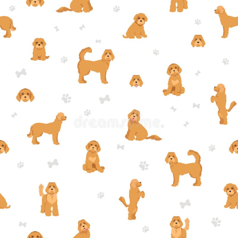 Cockapoo Mix Breed Seamless Pattern. Different Poses, Coat Colors Set.t ...