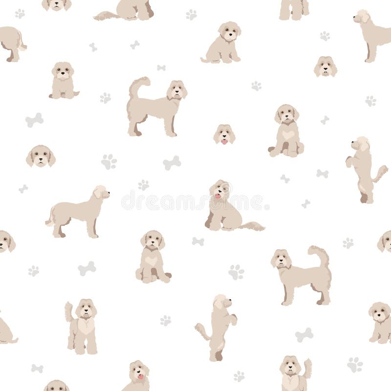 Cockapoo Mix Breed Clipart. Different Poses, Coat Colors Set Stock ...