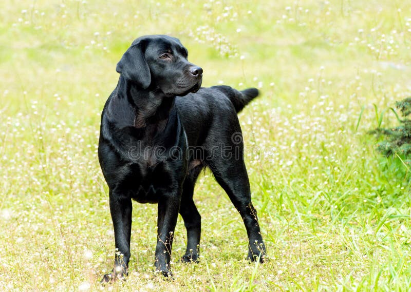 778 Autism Black Stock Photos - Free & Royalty-Free Stock Photos from ...