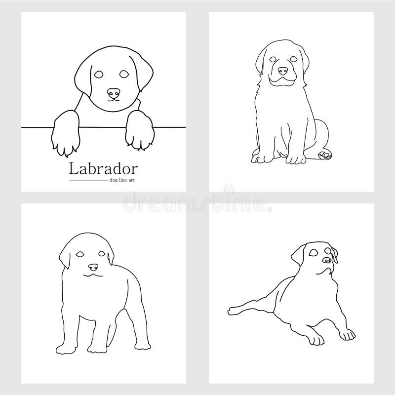 Labrador dog line art stock vector. Illustration of cartoon - 252053369