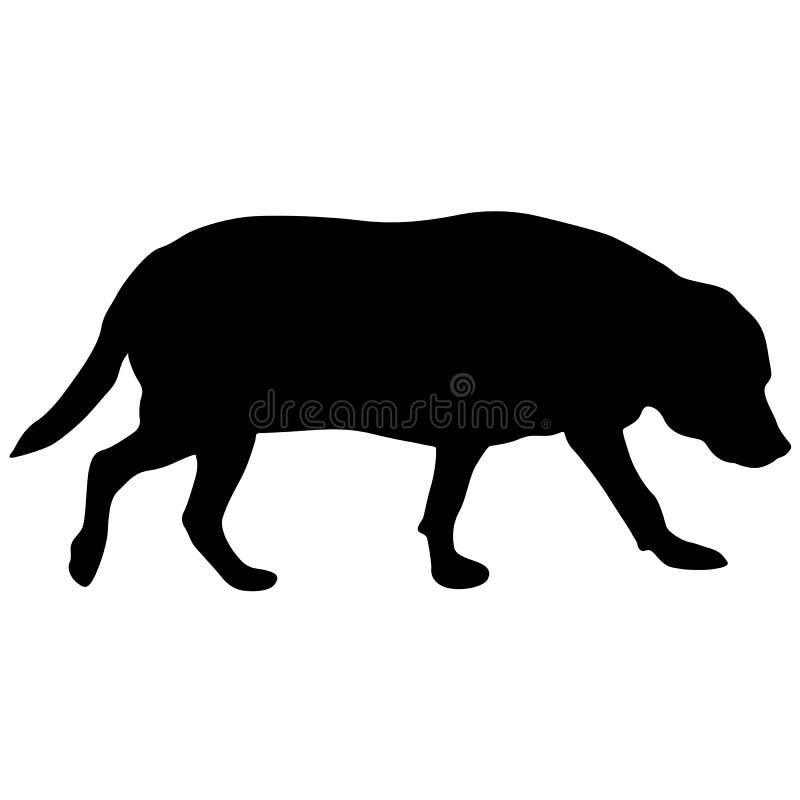 Hunter Dog Silhouette Labrador Stock Illustrations – 240 Hunter Dog ...
