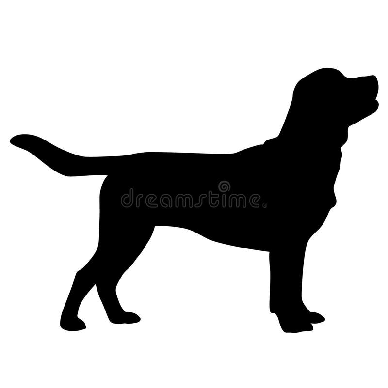 Labrador Silhouette Stock Illustrations – 8,607 Labrador Silhouette ...