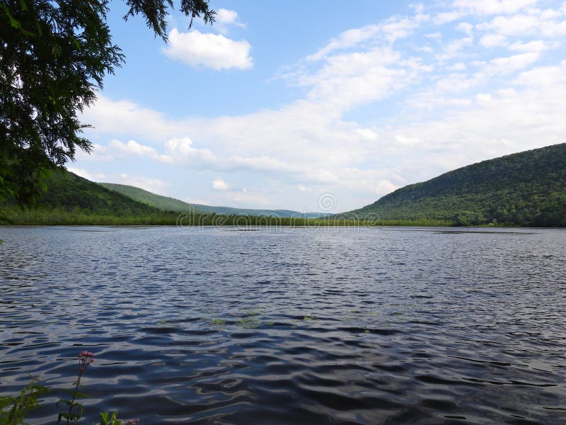 Labrador Pond in Summer in NYS Labrador Hollow Unique Area Stock Image ...