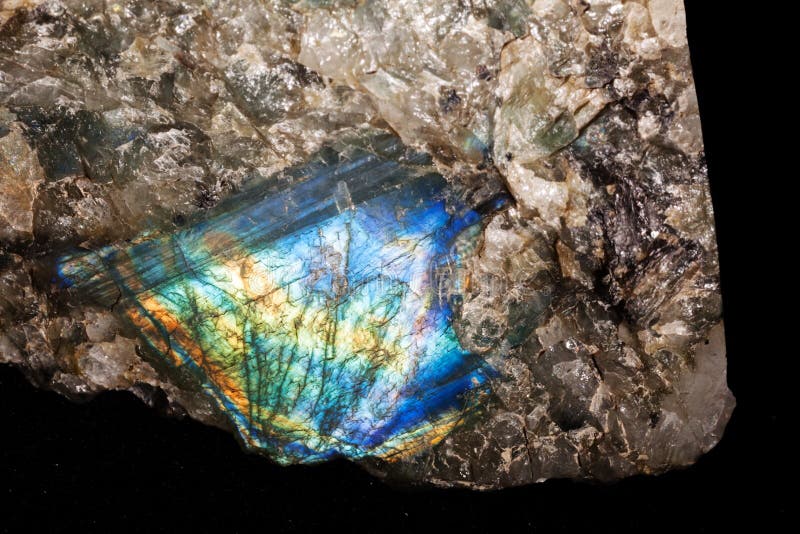 Labrador Real Mineral Dressing Stock Photos - Free & Royalty-Free Stock ...