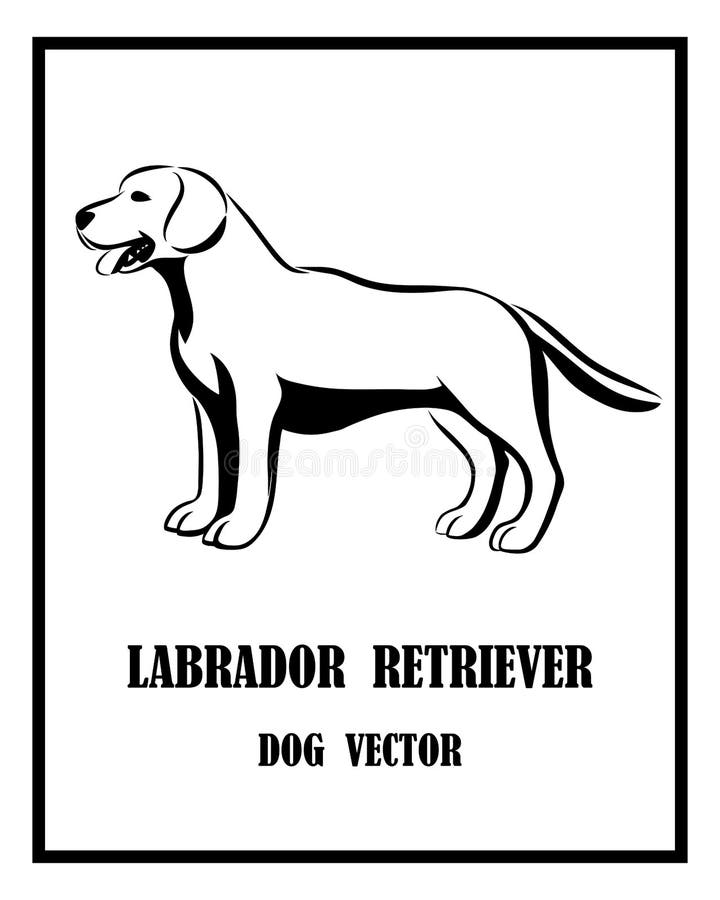 Labrador Retriever Dog Vector Eps 10 Stock Vector - Illustration of ...