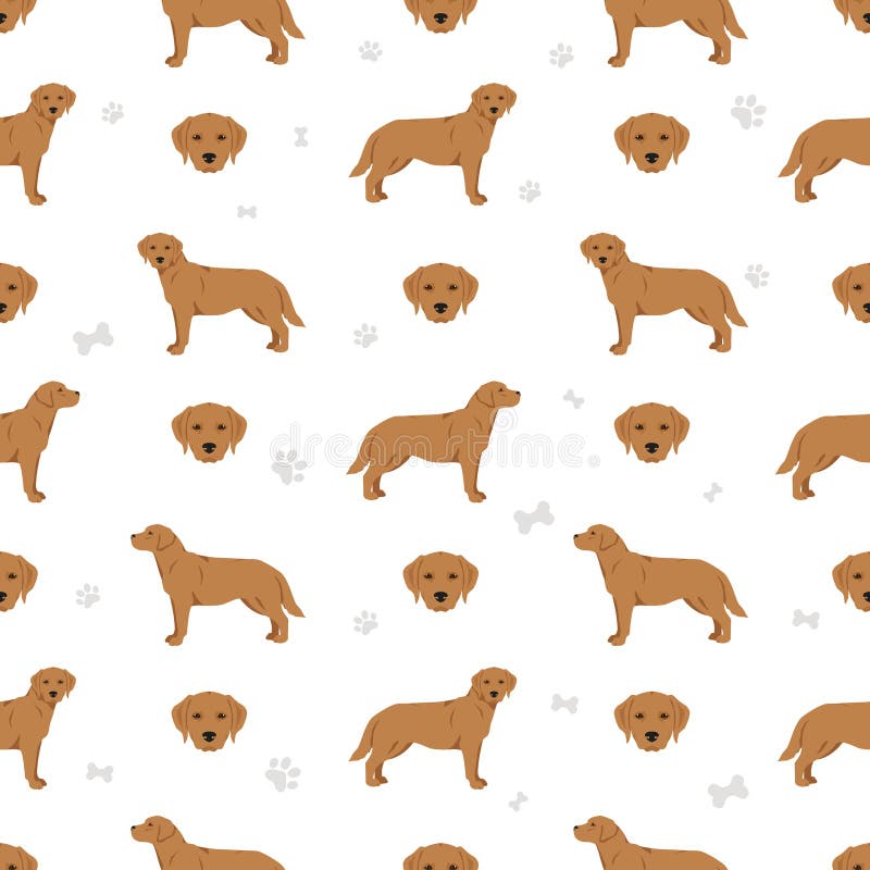 Chocolate Lab Seamless Stock Illustrations – 18 Chocolate Lab Seamless ...