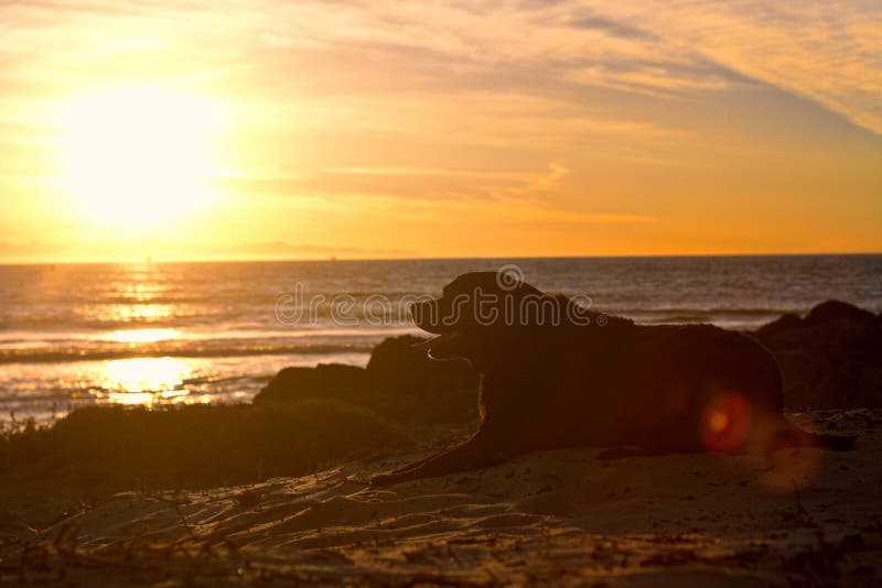 Labrador Sunset 01 Stock Photos - Free & Royalty-Free Stock Photos from ...