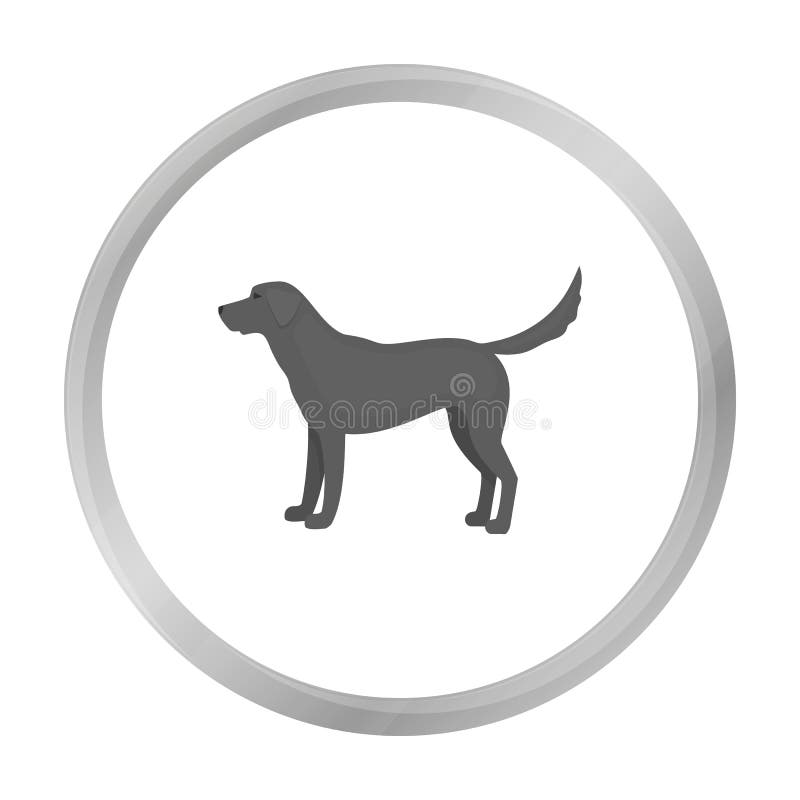 Labrador Vector Icon in Monochrome Style for Web Stock Vector ...