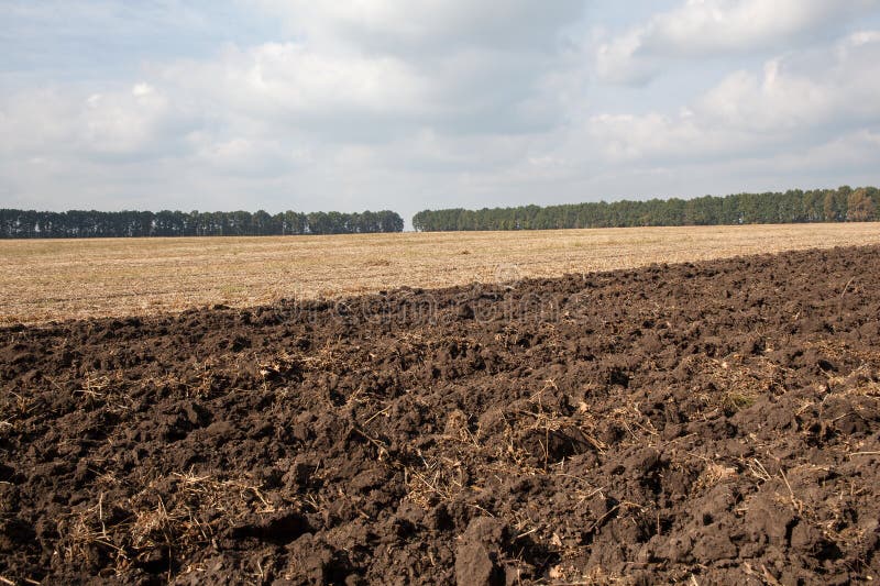 Labranza imagen de archivo. Imagen de suelo, escena, cubo - 52102539