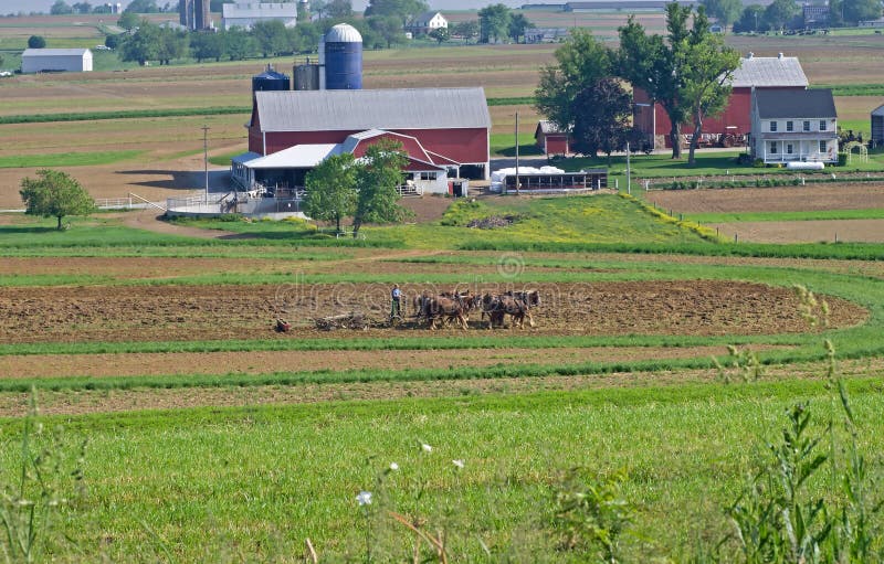 Labranza de la tierra foto editorial. Imagen de agricultura - 31475616