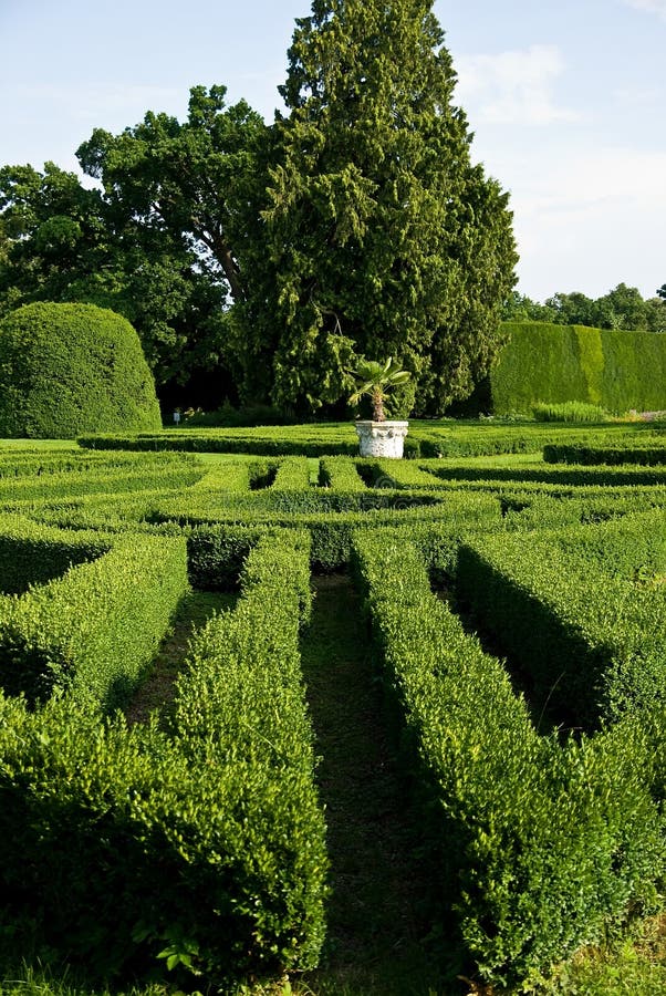 Bush labyrinth stock image. Image of lost, plants, pattern - 7247135