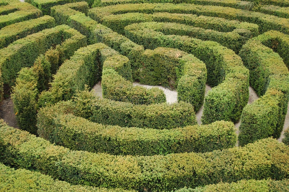 Labyrinth stock image. Image of quick, green, view, wattle - 1966981