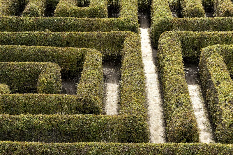 Labyrinth in a Botanical Garden Stock Photo - Image of horticulture ...