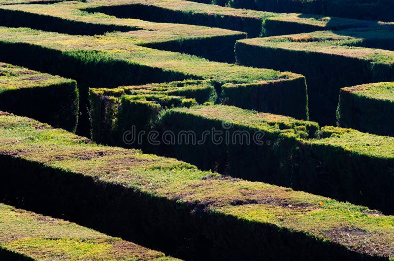Labyrinth stock photo. Image of agriculture, meadow, labyrinth - 32547138