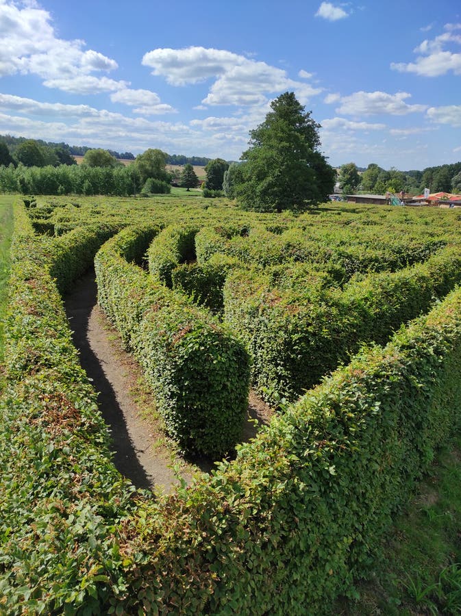 Labyrinth Made Out of Trees Stock Image - Image of landscape, outdoors ...
