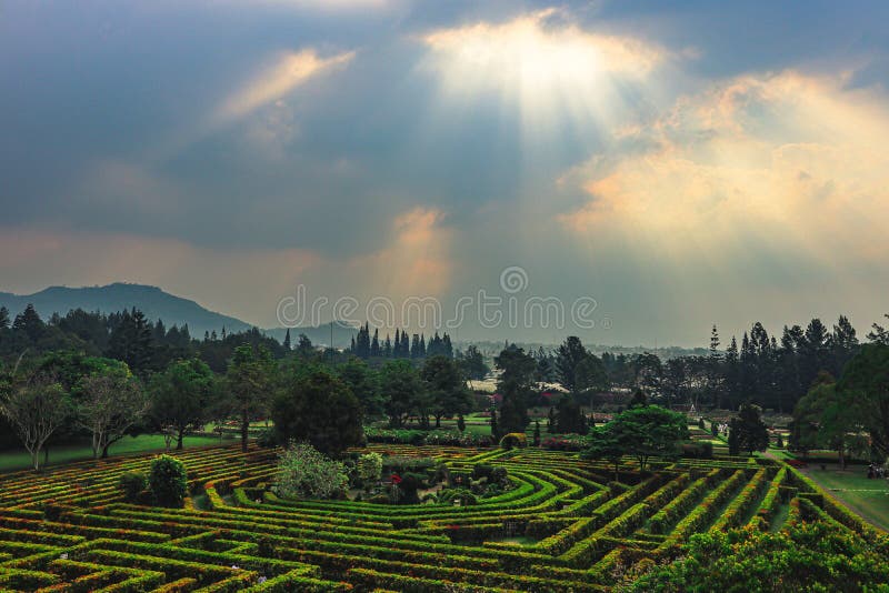 Labyrinth Made of Plants in a Flower Garden Stock Image - Image of maze ...