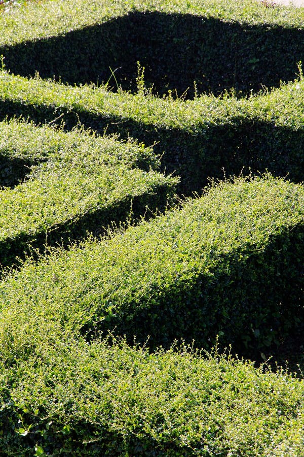 Labyrinth maze stock photo. Image of classic, maze, nature - 48065426