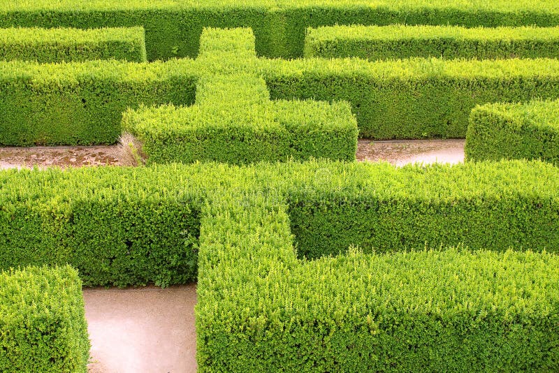 Labyrinth stock image. Image of landscaped, pattern, plants - 37853097