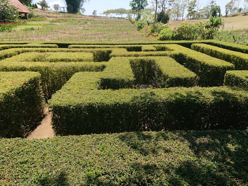 Labyrinth playground stock image. Image of path, nature - 252205807