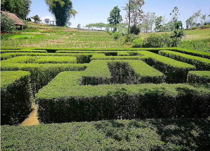 Labyrinth playground stock photo. Image of valley, shaped - 252205838