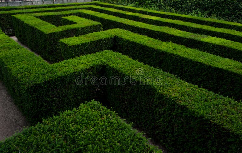 Labyrinth Und Labyrinth Im Schonbrunn-Palastgarten Redaktionelles ...