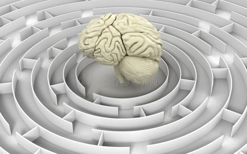 Labyrinth Zum Menschlichen Gehirn Stock Abbildung - Illustration von ...