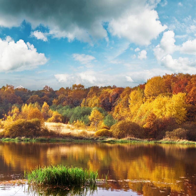 Lac image stock. Image du tranquille, lumineux, abondant - 11057379