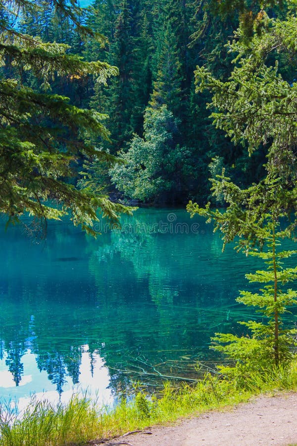 Lac Beauvert, Jasper National Park Stock Image - Image of canadian ...