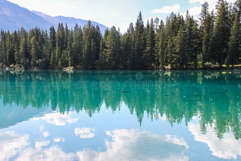 Lac Beauvert, Jasper National Park Stock Image - Image of emerald ...