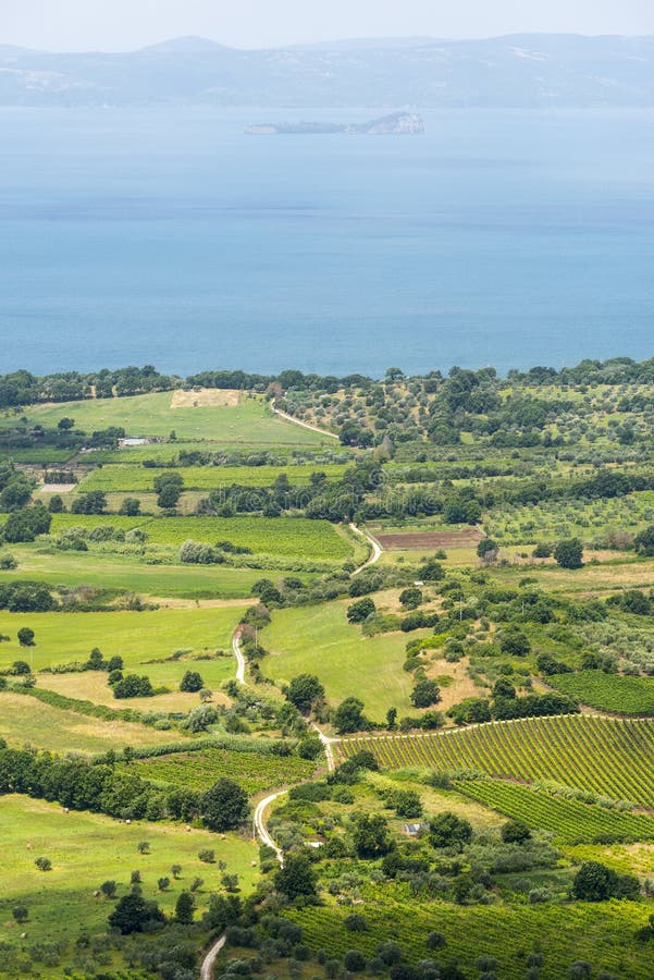 Montefiascone (Viterbe, Italie) Image stock - Image du italie, italien ...