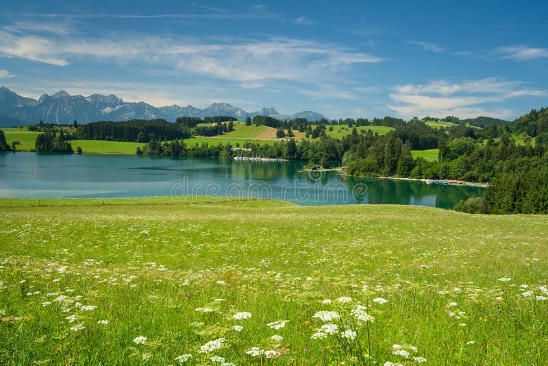 Lac Forggensee En Bavarie Allemagne Image stock - Image du extérieur ...