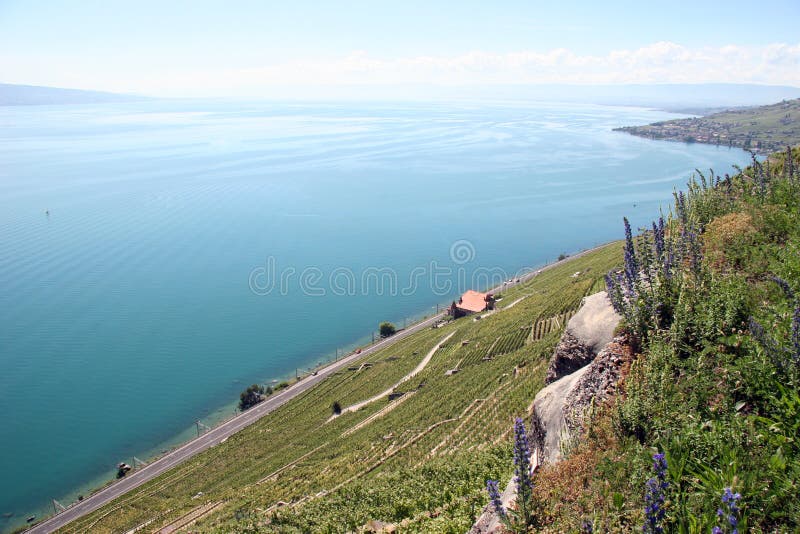 Lac Geneva stock image. Image of scenery, travel, vineyards - 11269975