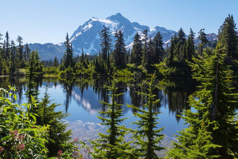 Lac picture image stock. Image du arbres, réflexion, neige - 74130047