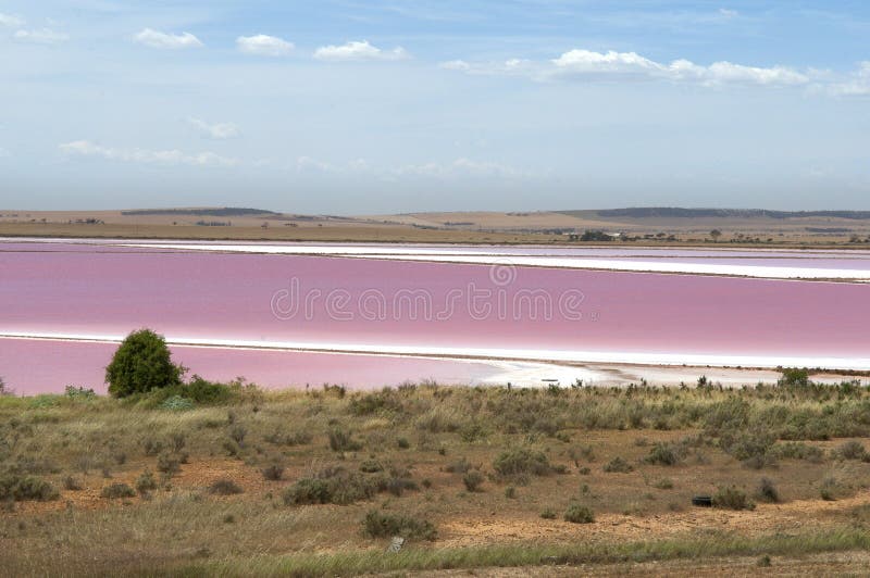 Lac rose en Australie image stock. Image du phénomène - 11719535