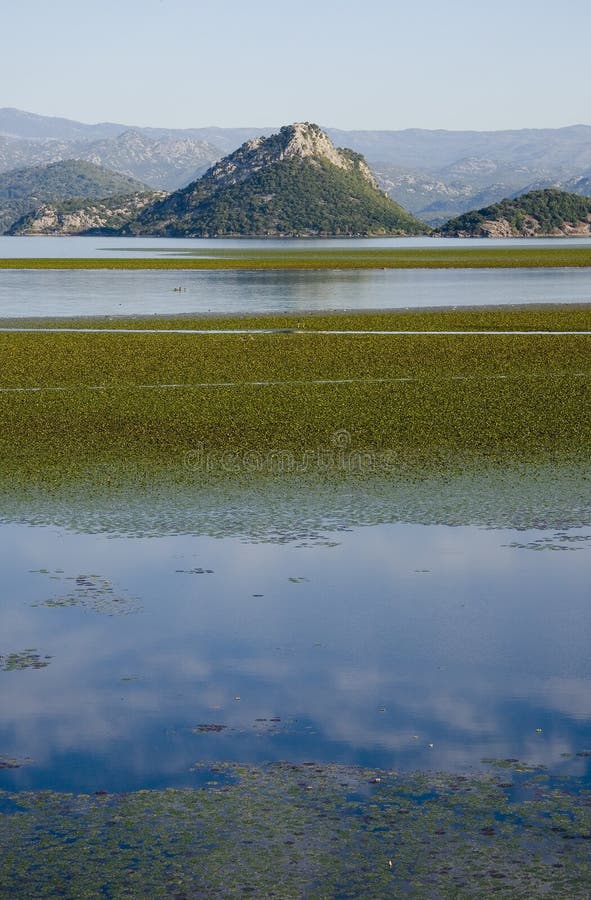 Lac Skadar - Shkoder, Albanie Photo stock - Image du détente, montagne ...